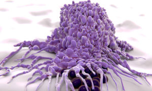 Hit-to-Lead process | Drug Discovery | Oncodesign Services