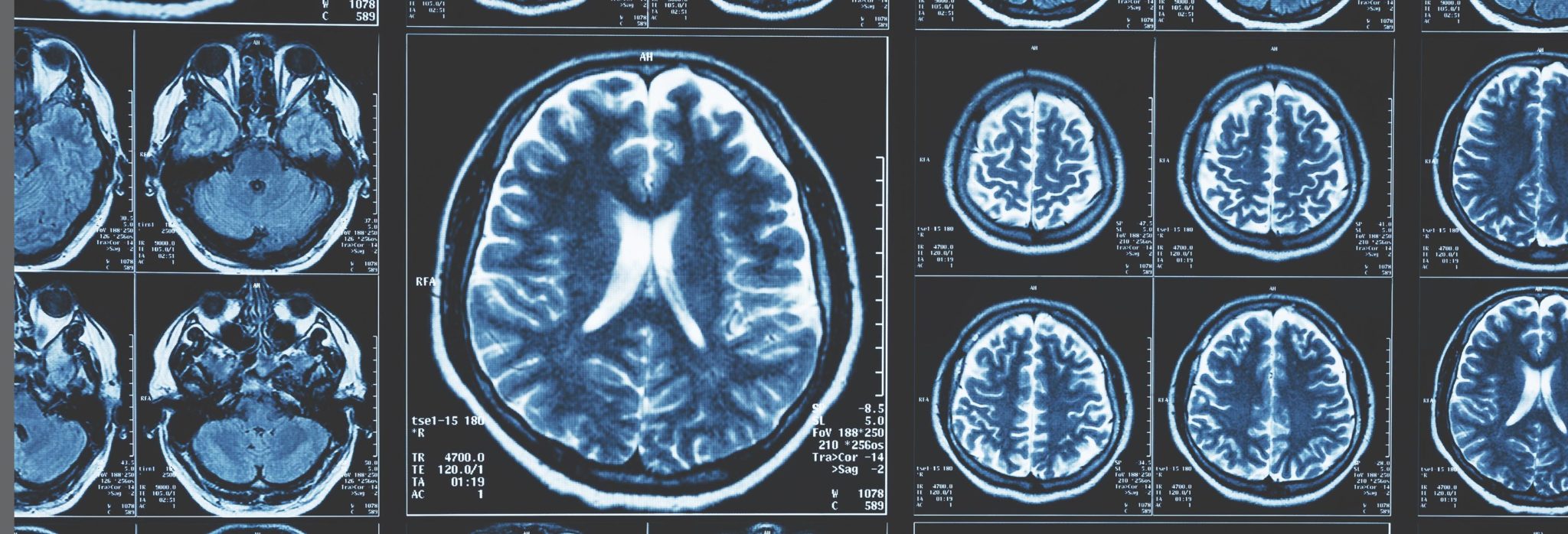 Resources - Oncodesign Services