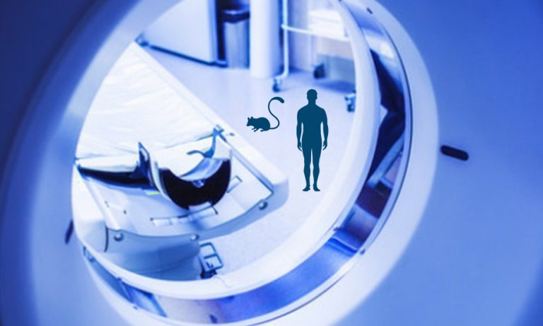 Molecular RadioTherapy (MRT) | Imaging services | CRO