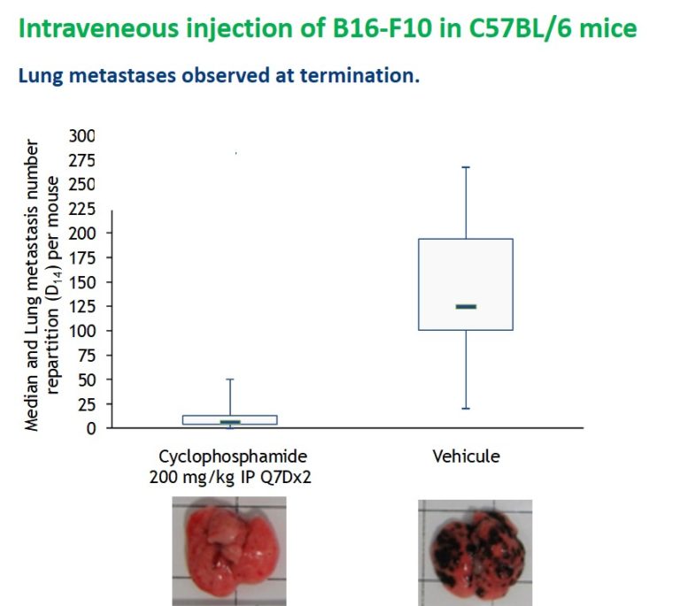 Metastasis Models | Oncology | CRO Services