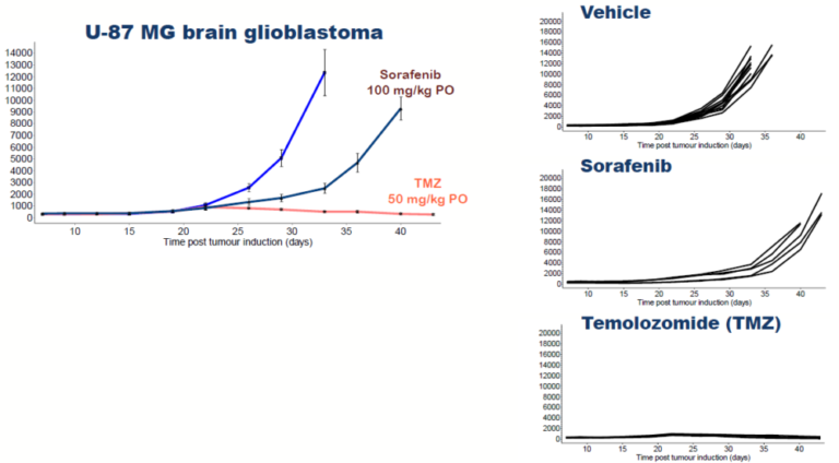 Tumor and Cancer models | Oncology | CRO partner