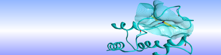 Hit-to-Lead process | Drug Discovery | Oncodesign Services