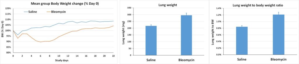 Lung Models | Inflammatory Lung Diseases | CRO services