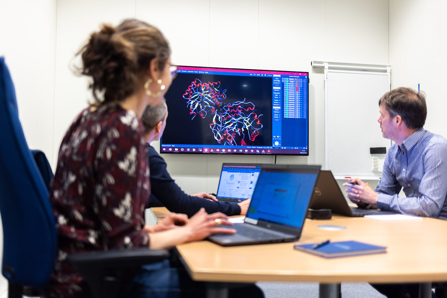 Structure-Activity Relationship (SAR) Studies | Oncodesign Services