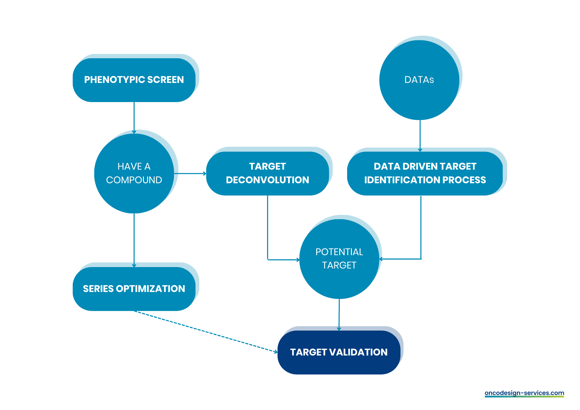 Target identification | Target validation | CRO services