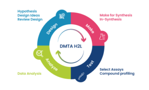 Structure-Activity Relationship (SAR) Studies | Oncodesign Services