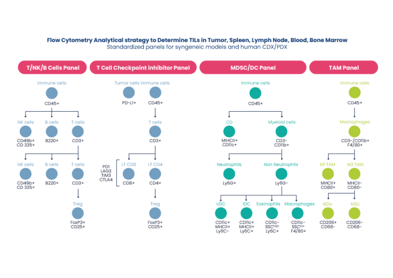 Immuno-Oncology | In Vitro & In Vivo capabilities