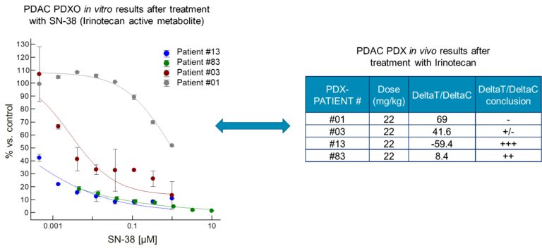 PDX Organoid models | PDXO | CRO