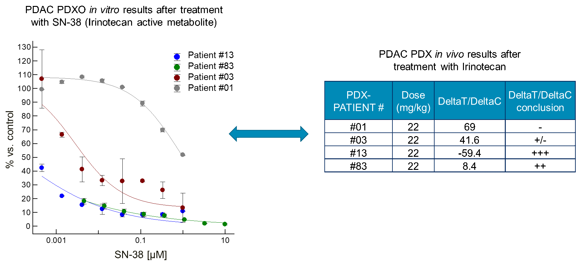 PDX Organoid models | PDXO | CRO