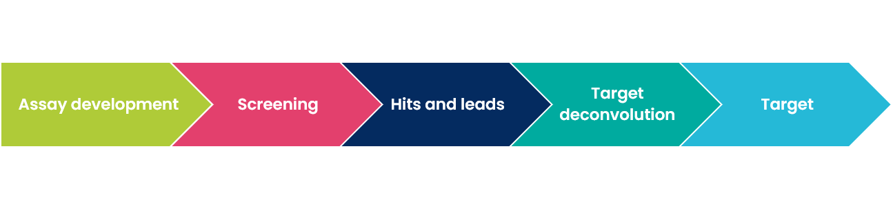 Target Deconvolution | Drug Discovery | CRO services