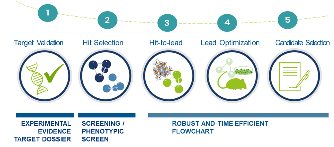 Phenotypic Screening Services | CRO services Phenotypic Screening Services | CRO services