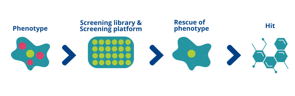 Phenotypic Screening Services | CRO services Phenotypic Screening Services | CRO services