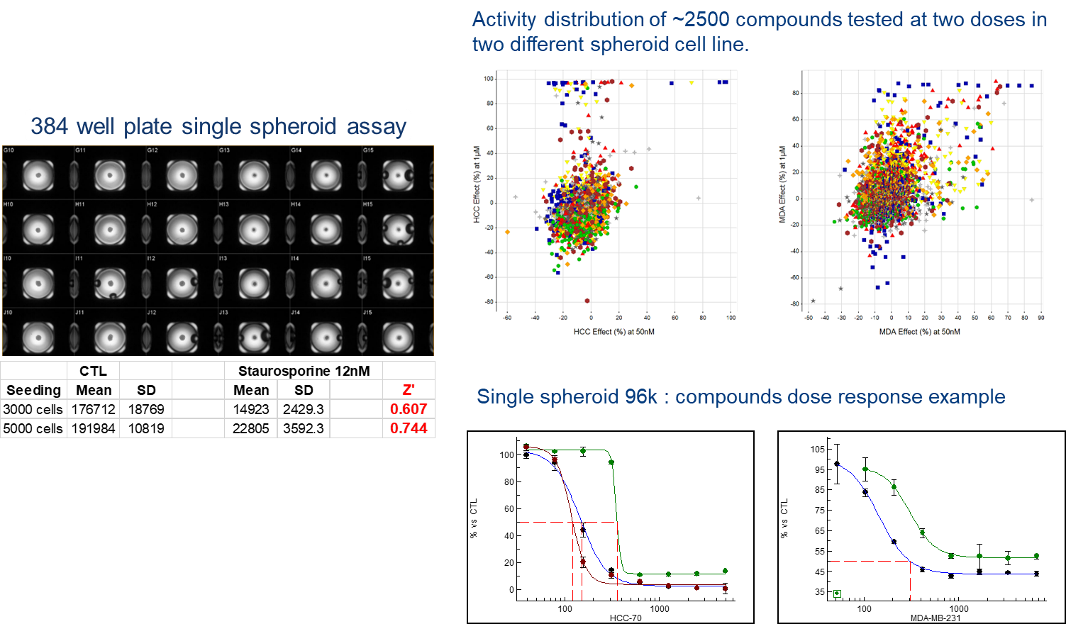 Phenotypic Screening Services | CRO services