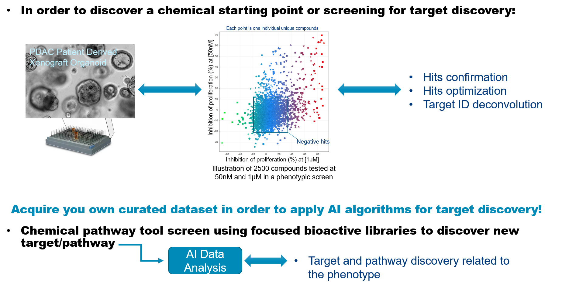 Phenotypic Screening Services | CRO services Phenotypic Screening Services | CRO services