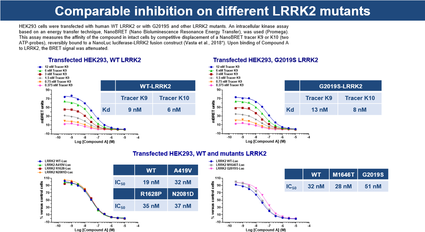 Cell Based Assays Drug Discovery Cro Services
