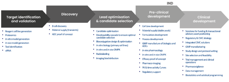 Antibody Drug Conjugate (ADC) Design | CRO services