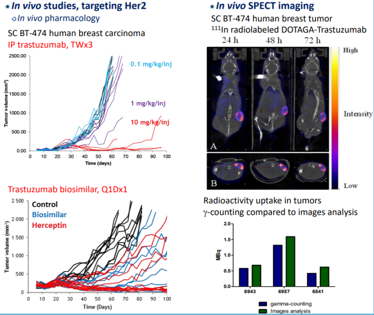 In vivo models | Biologics | Drug Development
