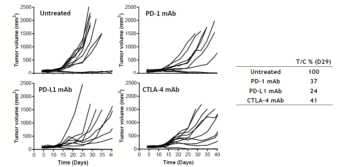 Syngeneic models | Mouse & Rat models | CRO services