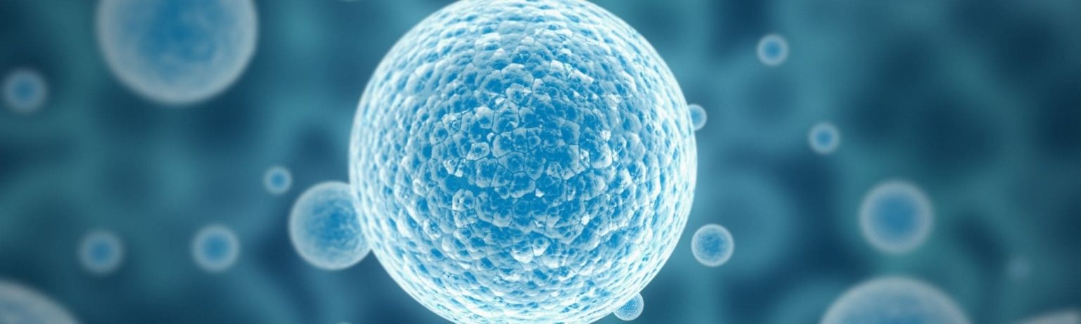 Patient-Derived Xenograft (PDX) mouse models | CRO Services