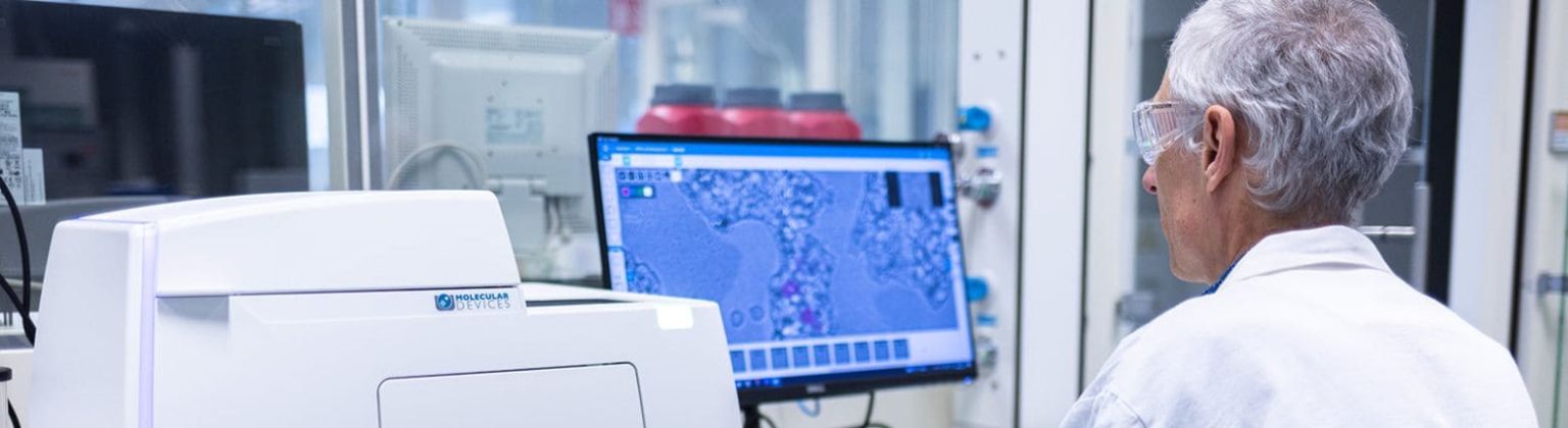 Anti-drug antibody (ADA) assay | Immunogenicity | CRO services