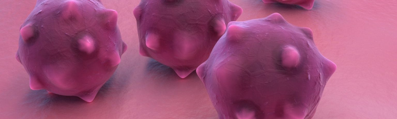 Breast cancer model | Oncology | CRO services