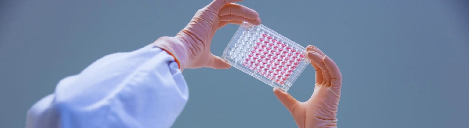 About Us | Drug Discovery | Oncodesign Services