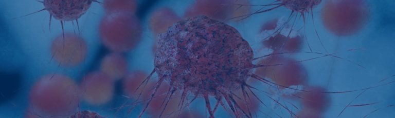 Patient-Derived Xenograft (PDX) mouse models | CRO Services