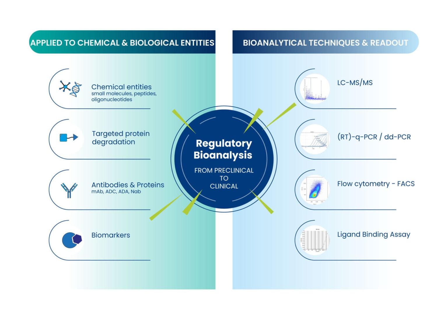 Bioanalytical Services | Drug Development | CRO Partner