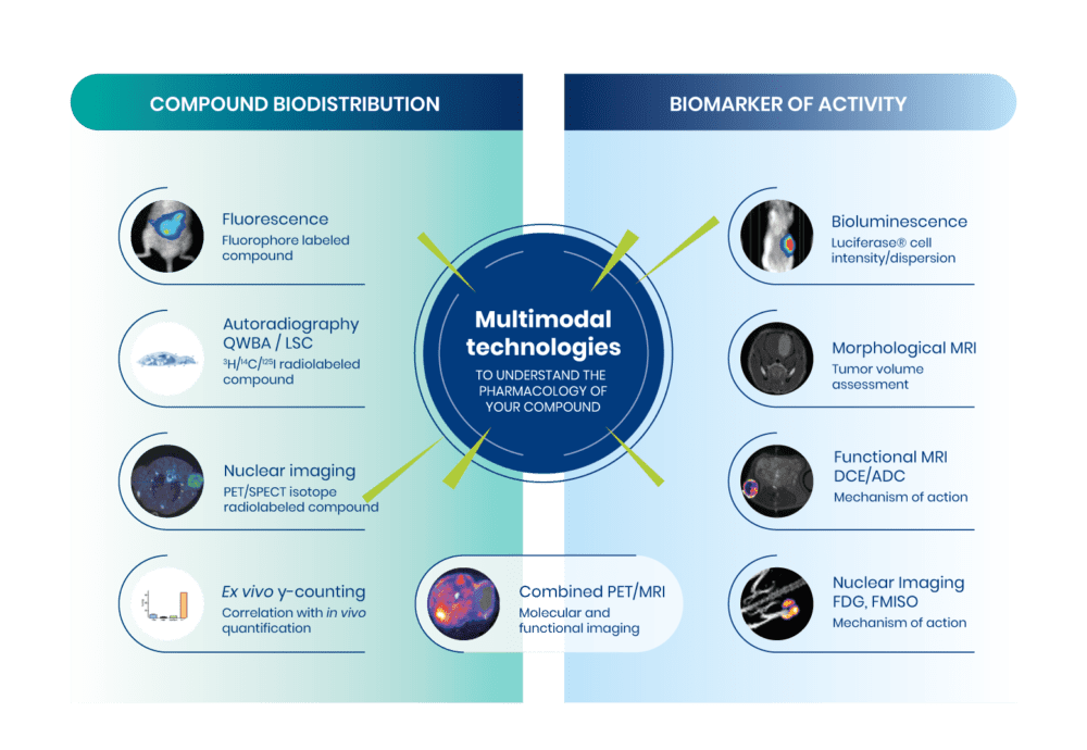 In vivo imaging | CRO modalities | MRI, SPEC, PET/SCAN