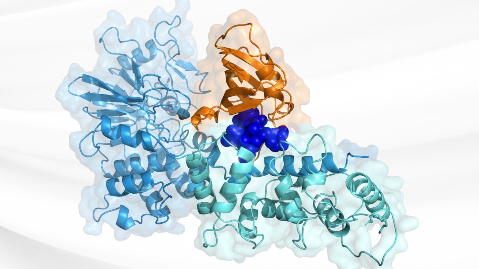 Hit Identification and Validation Services | Oncodesign Services