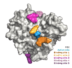 Structural Biology Services - Oncodesign Services