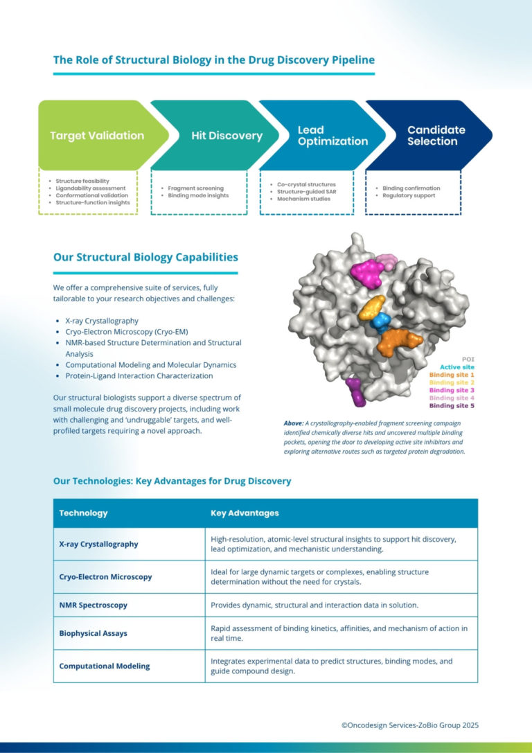 Structural Biology Guide [Download] - Oncodesign Services